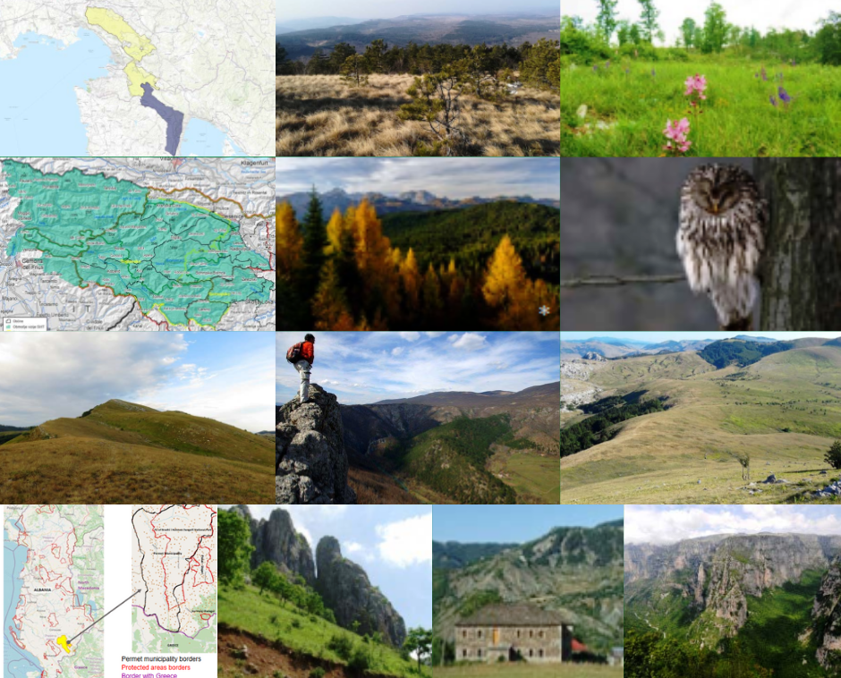 DINALPCONNECT – Transboundary ecological connectivity of Alps and ...