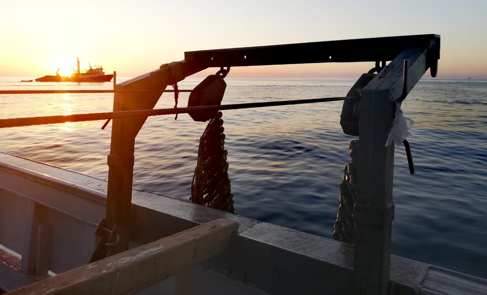 Održiva razina ribolova – u Sredozemnom moru bez znakova napretka – Biom