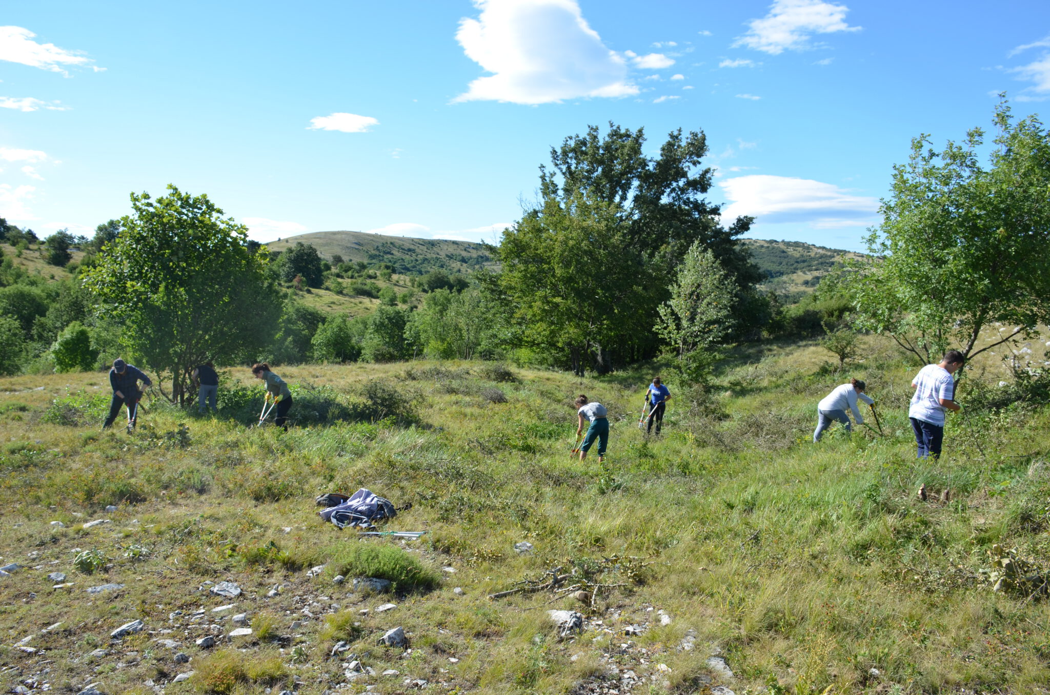 Ekološka povezanost: put prema očuvanju bioraznolikosti – Biom
