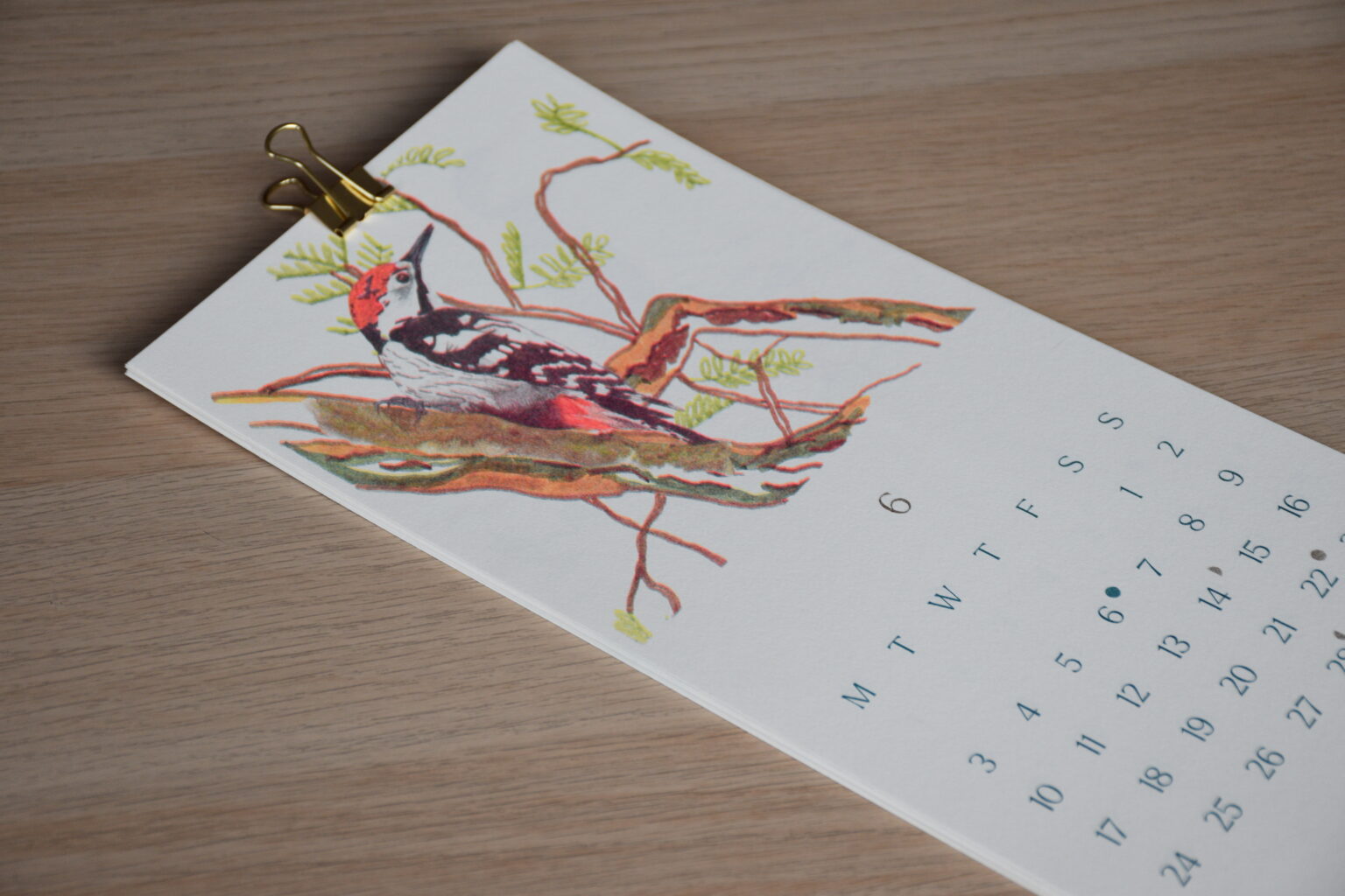 2024 ART CALENDAR DEDICATED TO BIRDS – Biom