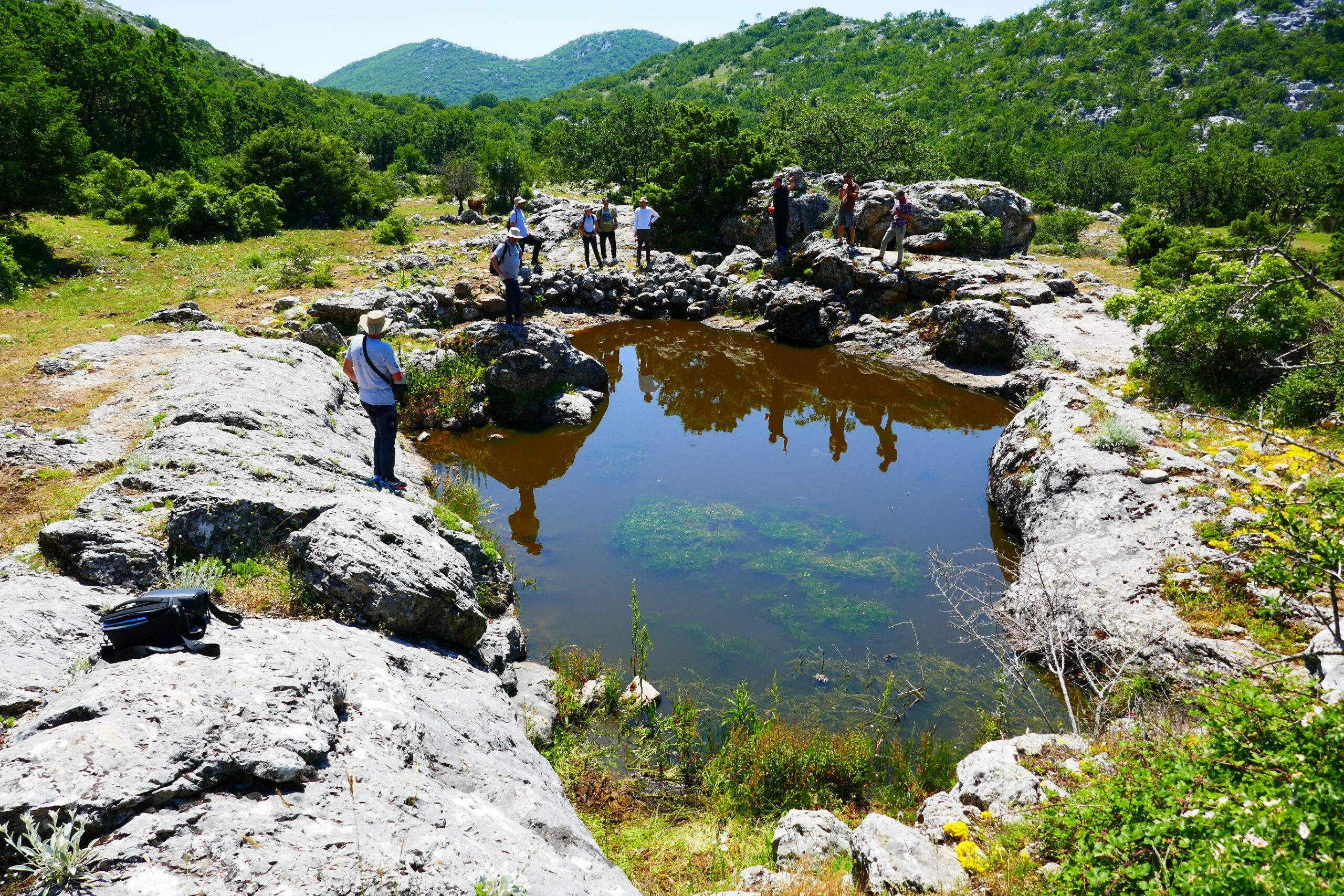 World Wetlands Day and the ponds of our everyday life – Biom