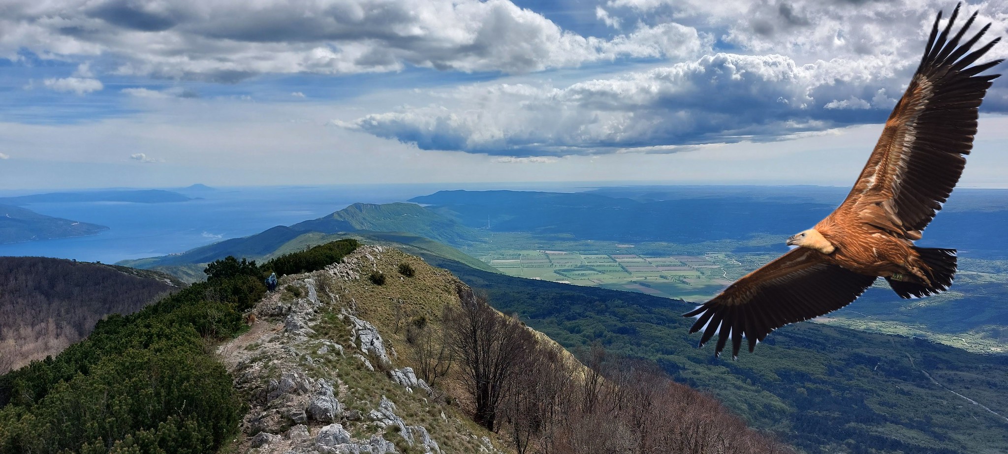 Are small communal feeding stations on farms the future of ensuring ...