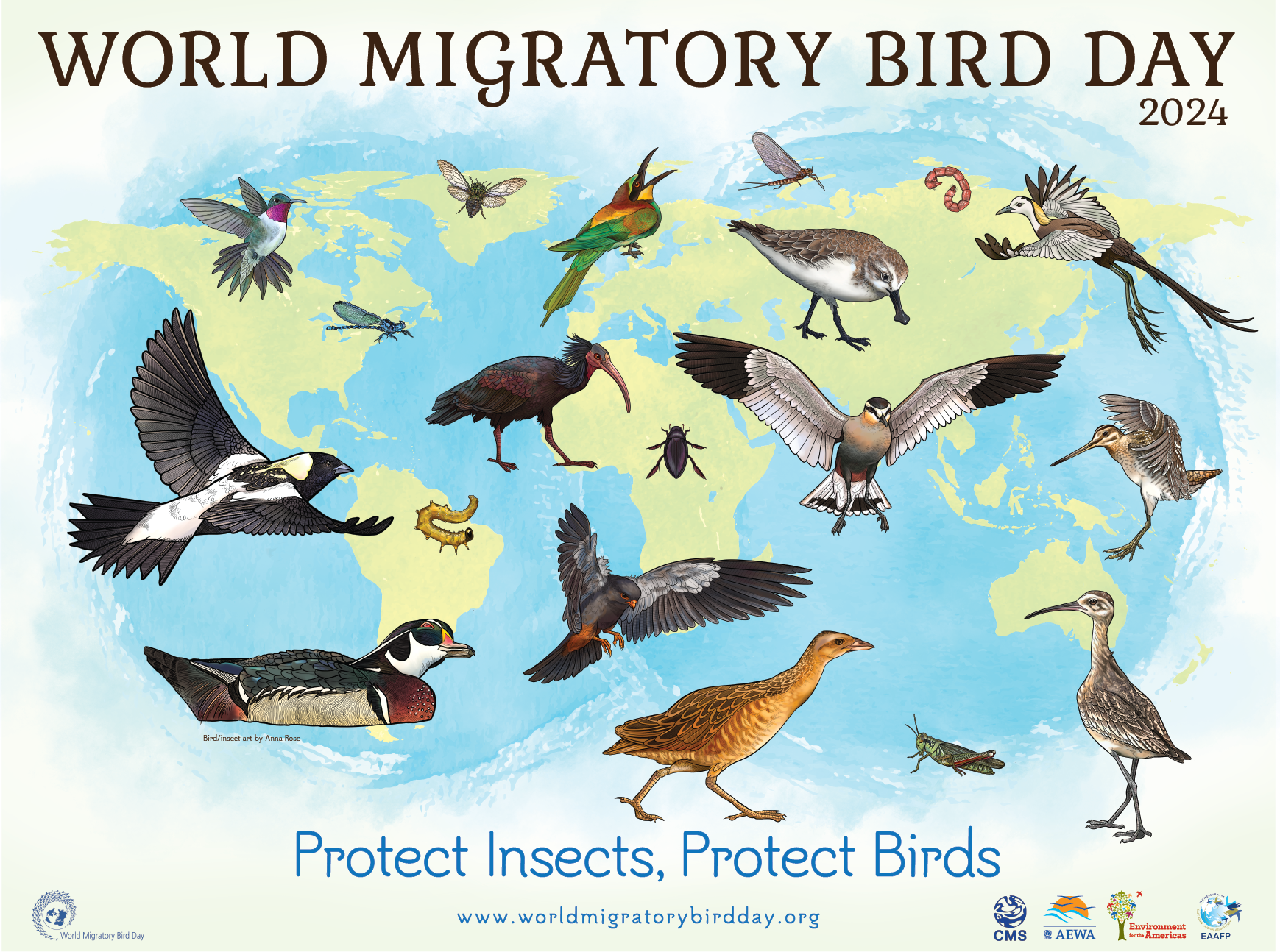 WORLD MIGRATORY BIRD DAY WITH A BOTANICAL WALK ALONG THE SAVA AND THE ...