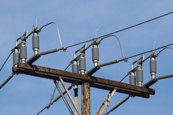 Guidelines for the Assessment of the Impact of Power Transmission Lines ...