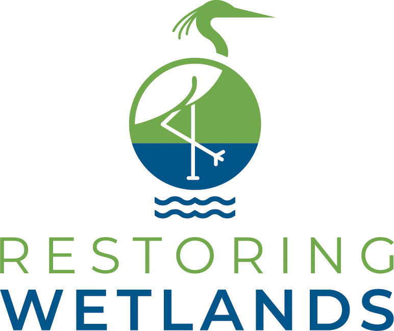 Restoring Wetlands: A Pathway to Biodiversity and Ecosystem Resilience ...