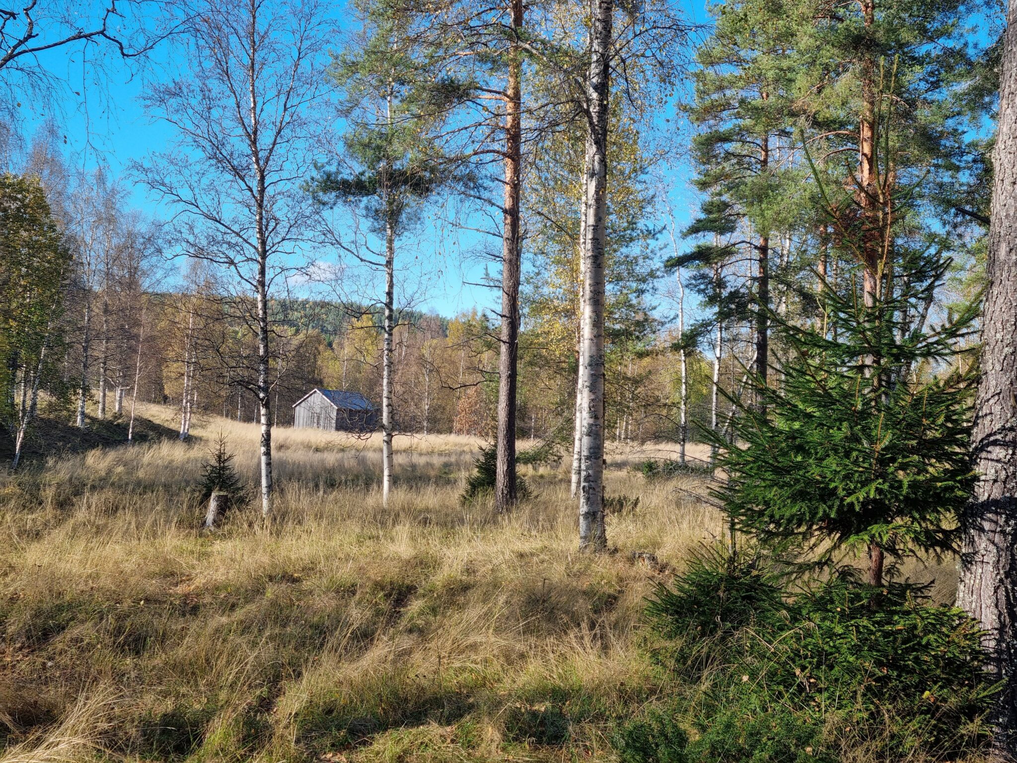 Swedish Experiences and New Technologies in Nature Monitoring – Biom